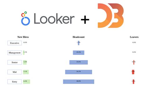 creating custom visualisation on looker using d3 js by darren chew