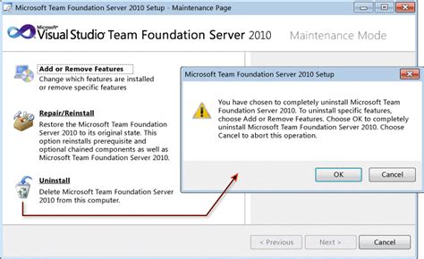 Delegen Upgrade To TFS