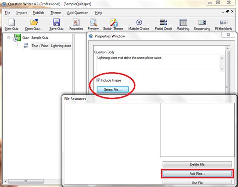 How Do I Make A True Or False Quiz