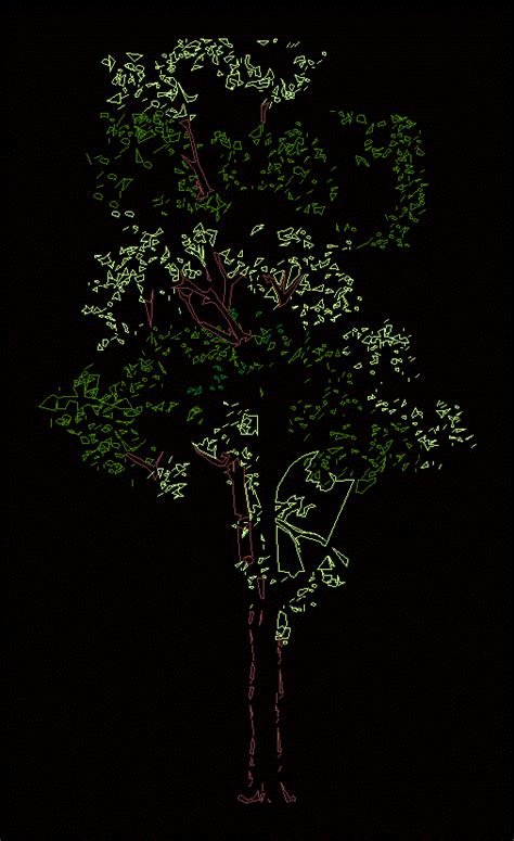 Tree Elevation Details In Dwg 252 Mb Cad Library