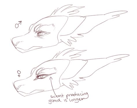 Feral Vernid Reference And Qanda By Lilaira On Deviantart