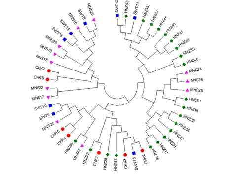 Dendrogram Of 48 Genotypes Of Peaches And Nectarine Generated With Data