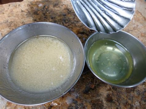 How To Make Your Own Coconut Oil In The Field