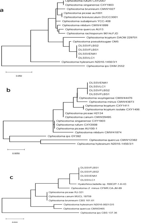 Phylograms Obtained From Maximum Likelihood Analyses Of The A