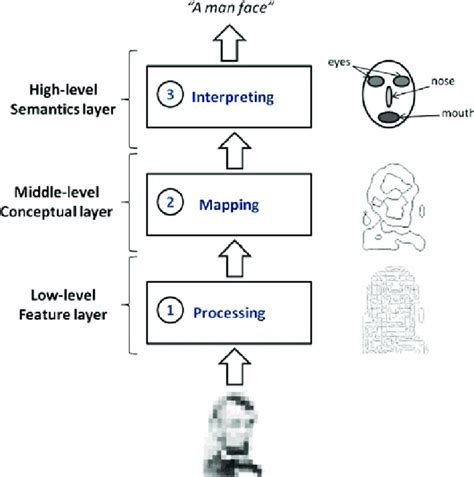 Illustration Of Marrs Paradigm For A Vision System Marr 1982 Download Scientific Diagram