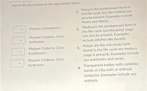 Solved Match The Description To The Appropriate Taxon Polyp