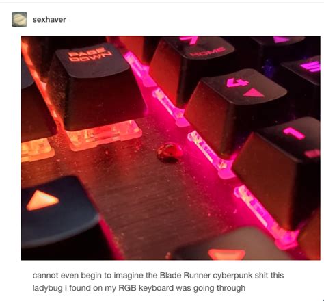 Ladybug Stuck In Neon Keyboard Is Experiencing A Cyberpunk Ish Moment