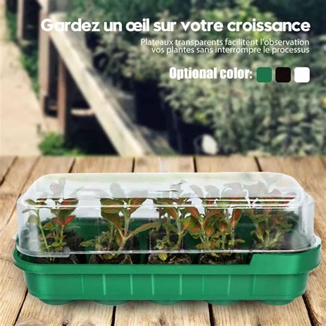 Seed Germination Kit