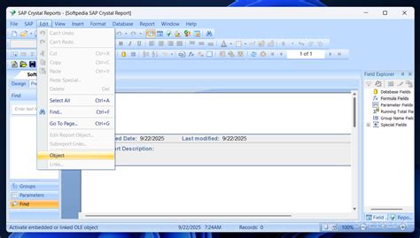 Sap Crystal Reports Download Softpedia