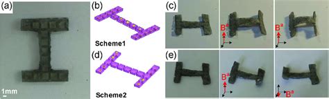 Encoding Schemes And Response Actions Of The Improved Multi Modal
