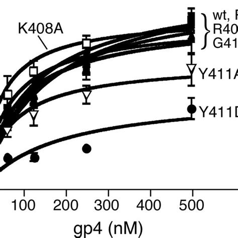 Ssdna Binding Affinity Of Gene 4 Protein Binding Affinity Of Gene 4 Download Scientific