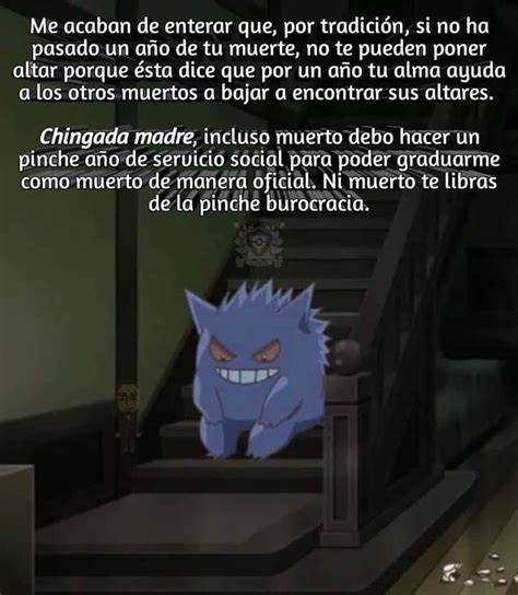 Pinches Requisitos Pendejos R Mexico