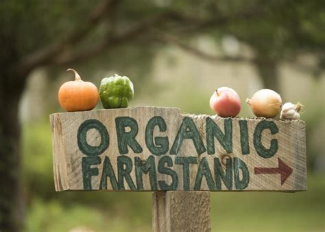 50 Fascinating Facts About Farming In America Stacker
