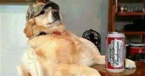 the greatest generation album on imgur