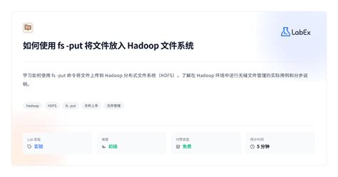 如何使用 Fs Put 将文件放入 Hadoop 文件系统 Labex