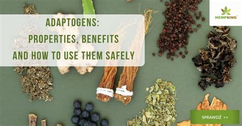 Adaptogens Properties Benefits And How To Use Them Safely Hempkingeu