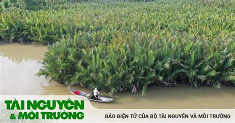 Conservation Of Nipa Forests Associated With Sustainable Livelihoods