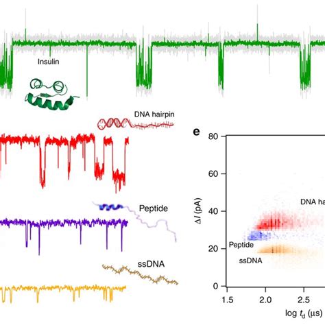 Design Of A Bio Inspired Lipid Free Hybrid Nanopore A Cartoon Of The