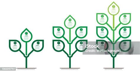 3단계 또는 프로세스가 있는 비즈니스 프레젠테이션 정보 그래픽입니다 3 5 및 7 부품의 수직 인포그래픽 또는 타임라인 집합입니다 나뭇잎이 있는 나무 녹색 기술의 개발과