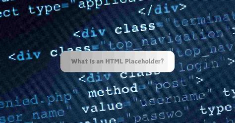 what is an html placeholder lipsum hub