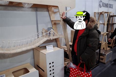 2017 제7회 궁디팡팡 캣페스타 네이버 블로그