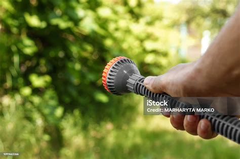 남자의 손 정원 급수 뜰을 만들기의 개념 손 정원 호스 꽃 클로즈업 신선한 녹색 잔디에 물을 공간 복사 계절에 대한 스톡 사진 및 기타 이미지 Istock