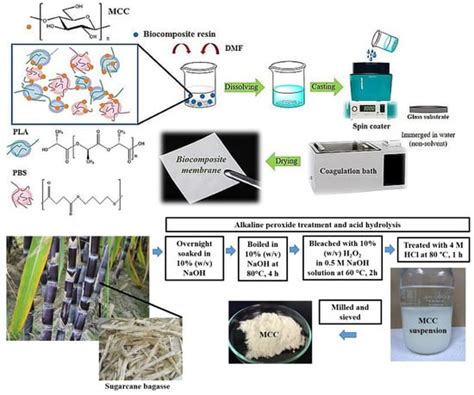 Ijms Free Full Text Eco Friendly Lithium Separators A Frontier Exploration Of Cellulose