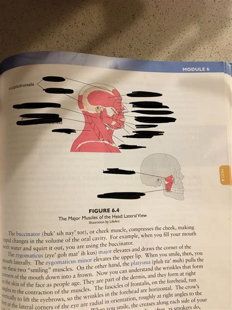 A P Module 6 Quizlet Plus For Jack Diagram Quizlet