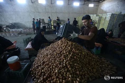 Agreement Signed For Dates Processing Plant In Oman