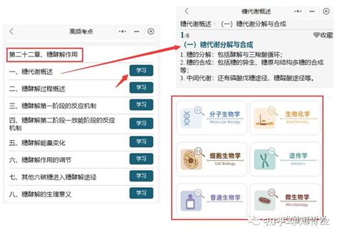 生物化学高频考点（十八）之酶的化学本质及其组成内容及思维导图 知乎