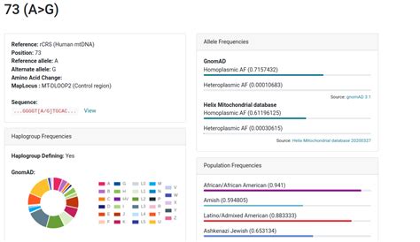 Annotations Haplogrep 3