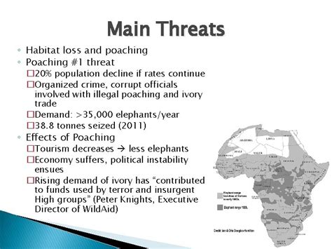 How To Solve The African Elephant Poaching Crisis
