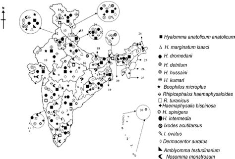 Distribution Of Predominant Ixodid Tick Species Of Ruminants In India