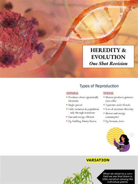 Heredity And Evolution One Shot Revision Pdf Dominance Genetics