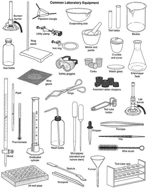 Common Laboratory Equipment Diagram Quizlet