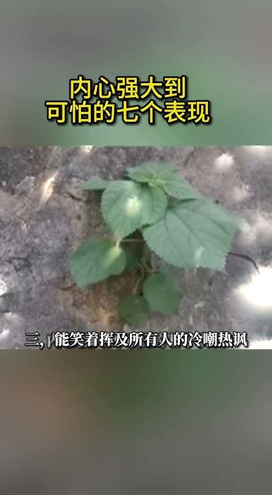 內心強大到可怕的七個表現 人生感悟 佛教人生智慧 Youtube