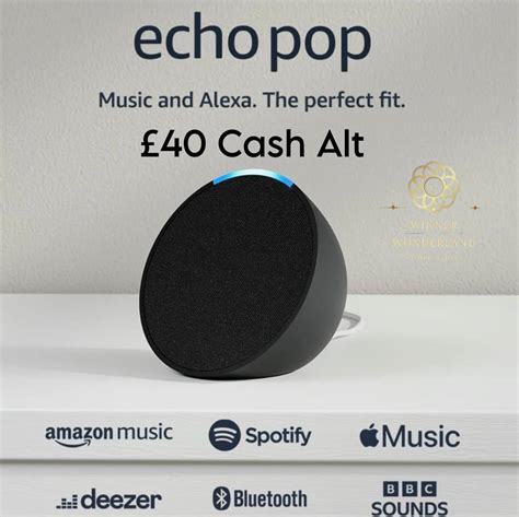 Echo Pop Newest Gen Winner Wonderland