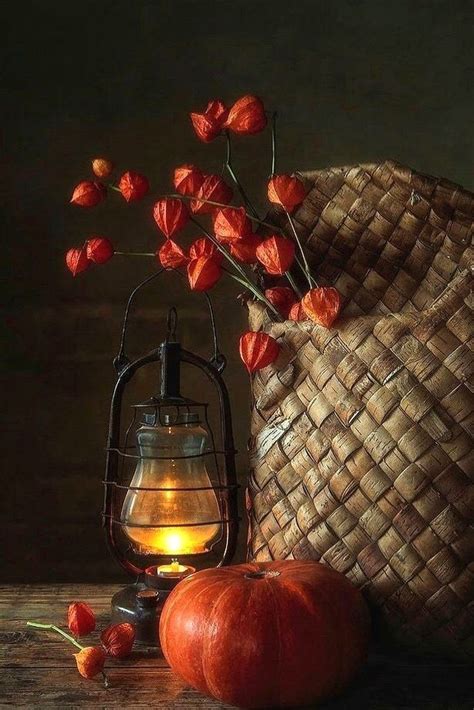 Pin By Alyna On Autumn Toamna Fall Pictures Autumn Inspiration Fall