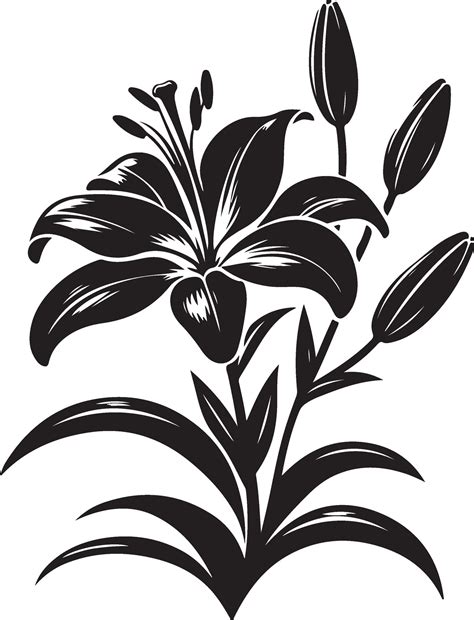 Lily Flower Silhouette Illustration 47161862 Vector Art At Vecteezy