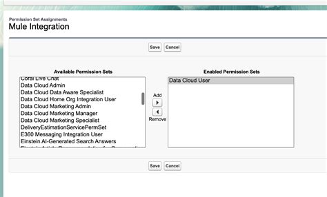 Datacloud Error End User Denied Authorization For Mulesoft Connection To Data Cloud