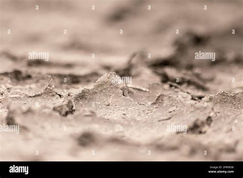 No Rainfall Causes Dry Fields During Drought After Very Hot Heat