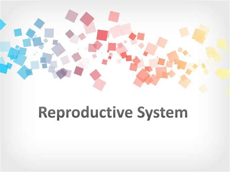Ppt Endocrinereproductive System Powerpoint Presentation Free