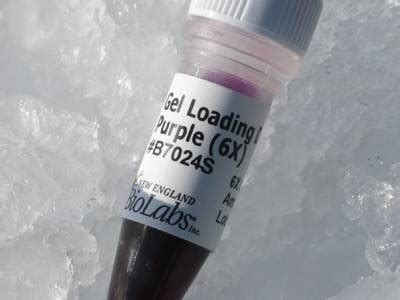 Labcompare Product Review Great Pre Mixed Gel Loading Dye