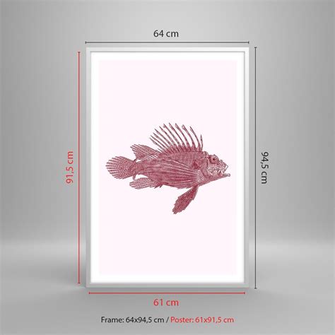 Obraz Plakat Mieszkanka egzotycznych wód 61x91cm Ryba Skrzydlica Tropikalna Foto