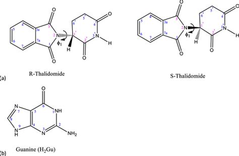 Thalidomide Structure