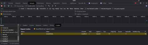 Nodejs Cookies Missing In Chrome Dev Tools Application Tab But