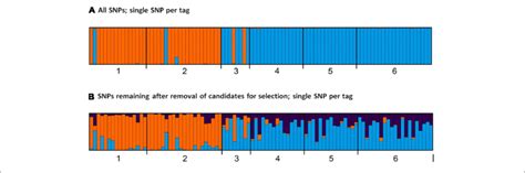 Bar Plots From Structure Showing With Genetic Clustering Of