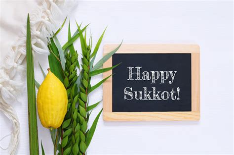 유대인의 초 막 절 축제입니다 전통적인 기호 Etrog Lulav Hadas 아 라바 Sukkoth Festival에 대한 스톡