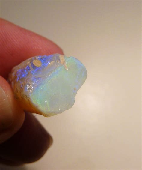 Unpolished Natural Australian Opal Belemnite Fossil Specimens Blue Green