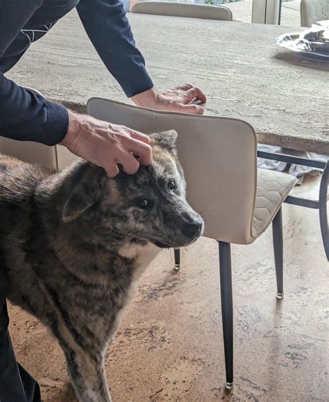 Supersonic Mode Engaged Rairplaneears